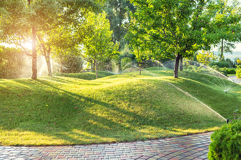 Lawn Care Maintenance Services in Dallas TX | Lawn Sense