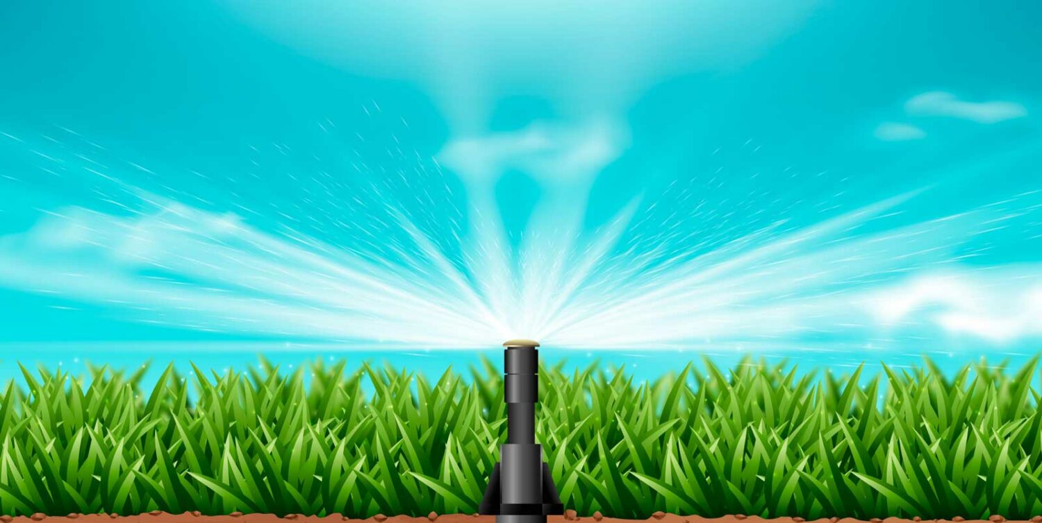 Which is The Right Sprinkler System for My Home? | Lawn Sense