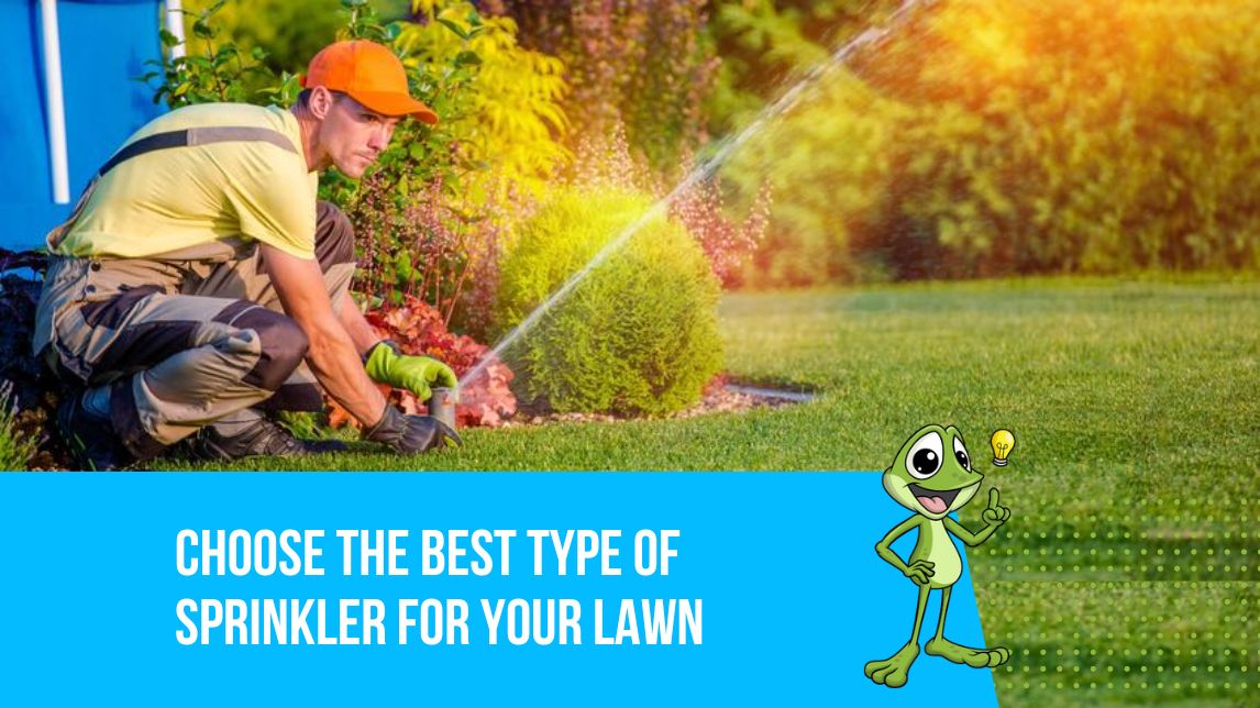 Choose The Best Type Of Sprinkler For Your Lawn | Lawn Sense
