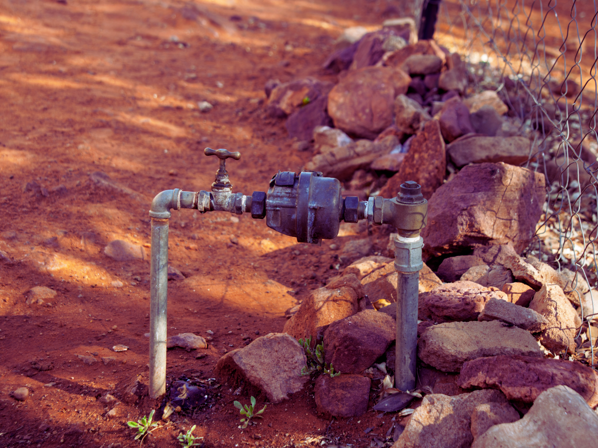 PVB vs RPX: Backflow Differences Explained | Lawn Sense