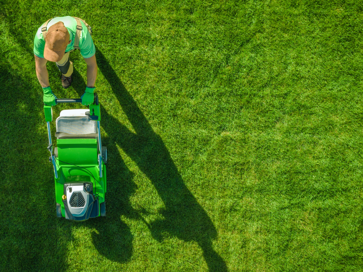 Organic Fertilizer vs Synthetic Fertilizer | Lawn Sense