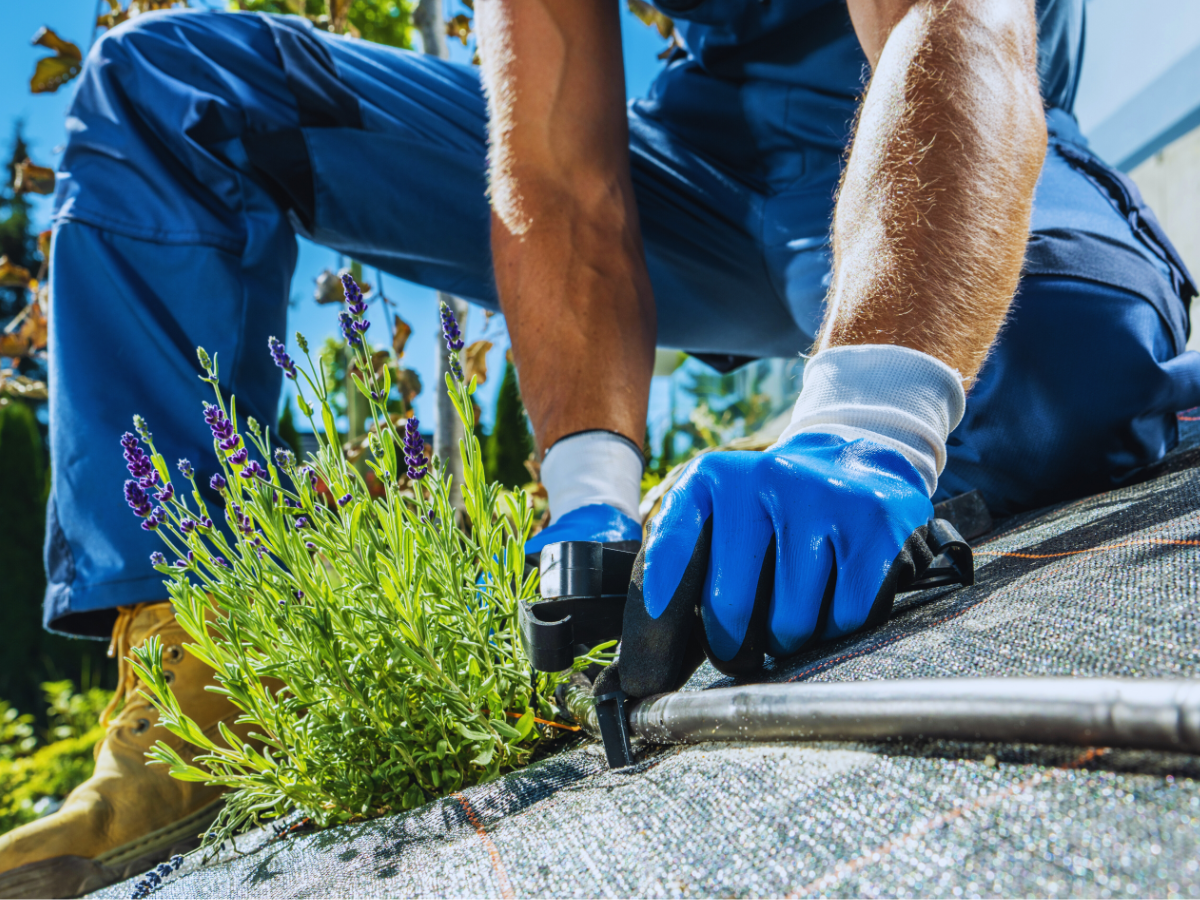 7 Ways Dallas Weather Causes Sprinkler Leaks | Lawn Sense
